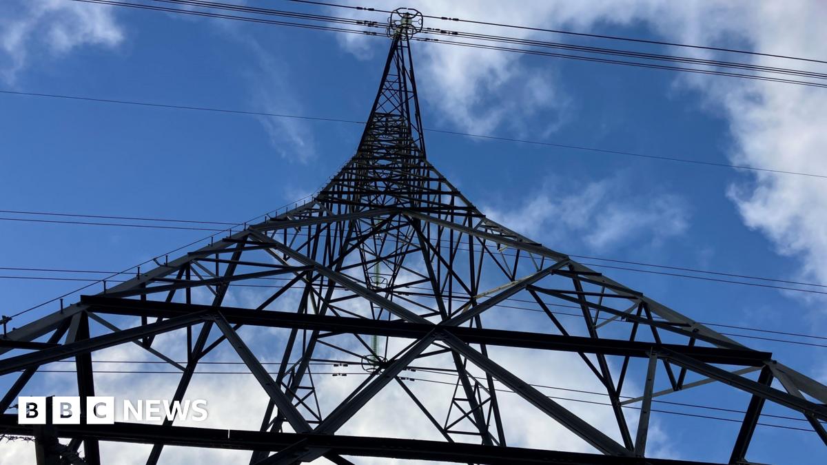Why more electricity pylons could soon be heading your way - BBC News