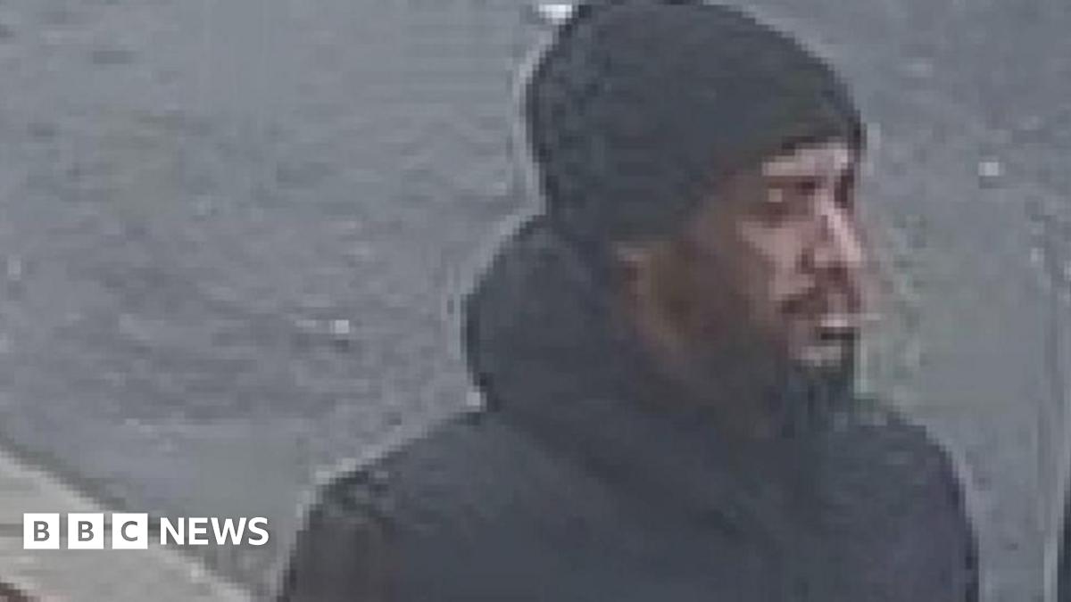 Search for man after seagull 'kicked to death' - BBC News