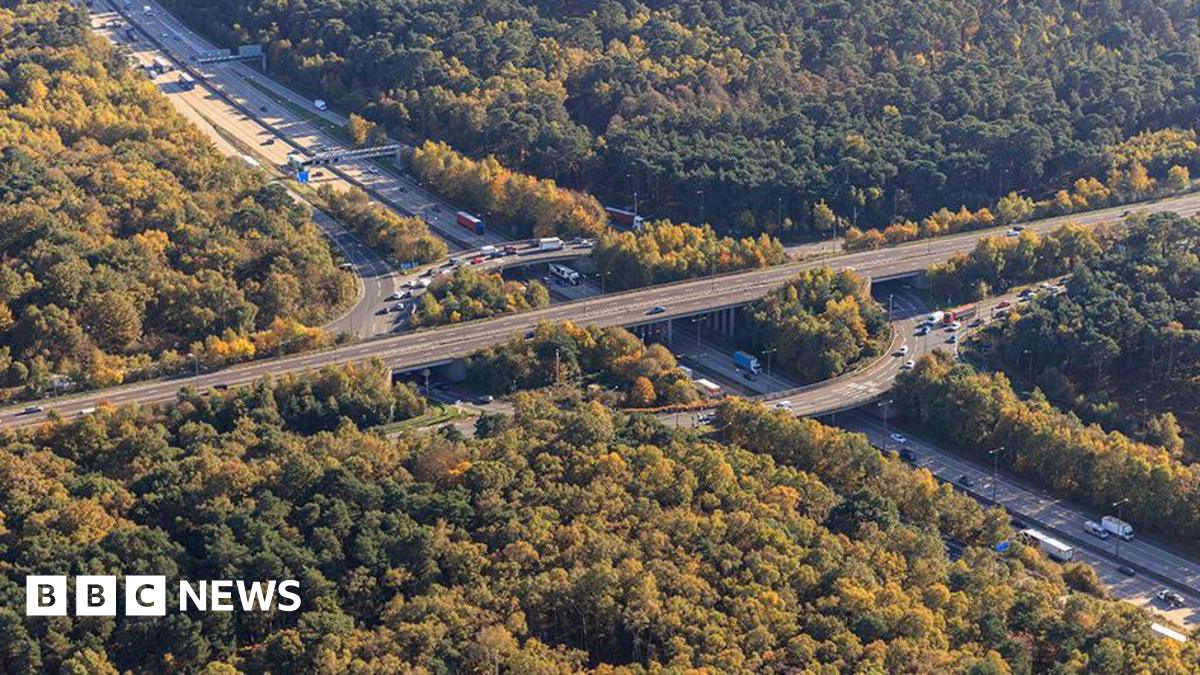 Esmeralda morichelli picazor got the green light to