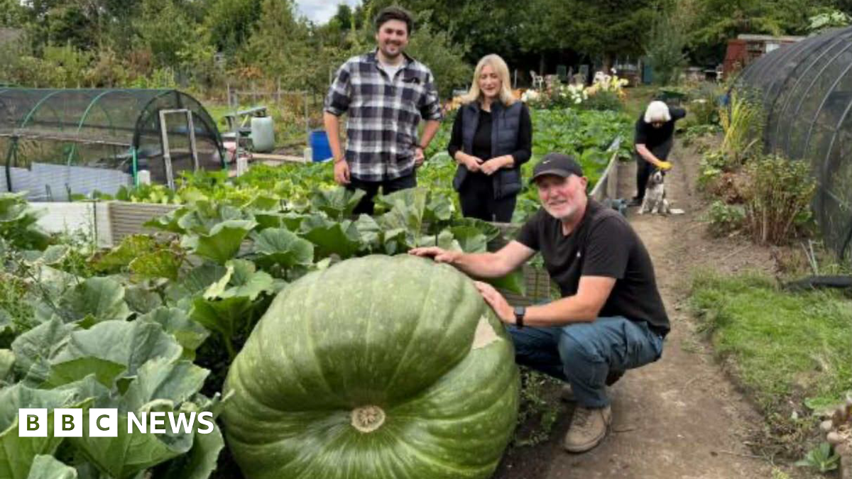 West Midlands vegetable grower needs help moving giant squash - BBC News