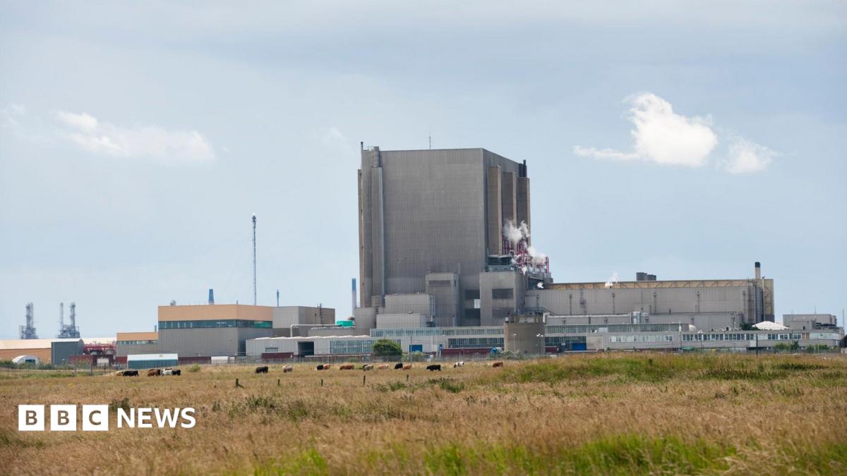Leaders call for new Hartlepool nuclear reactor - BBC News