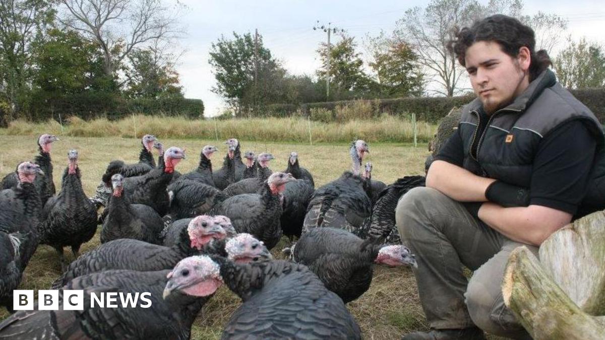 'Who can afford to pay £100 for a Christmas turkey?' - BBC News