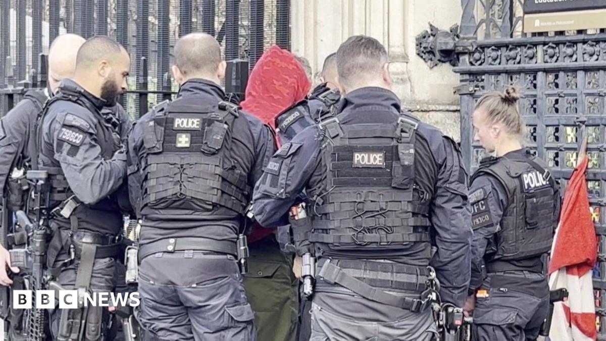 Cambridgeshire man in court over Parliament swords incident - BBC News