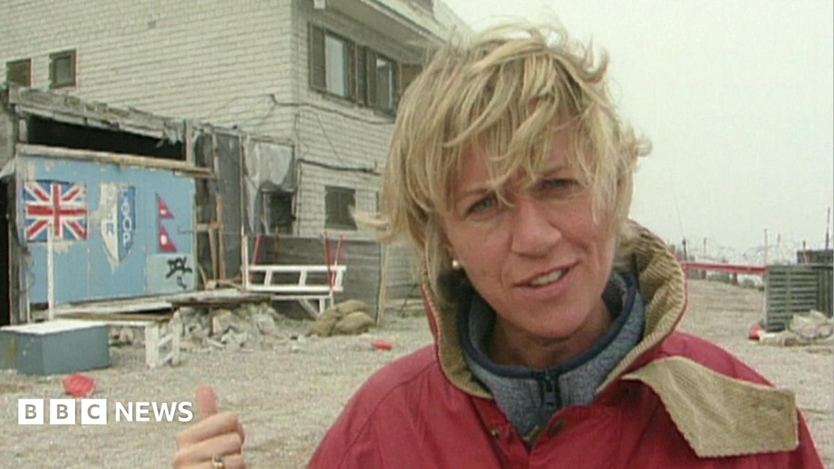 Weekly round-up: Five stories from the south you may have missed - BBC News