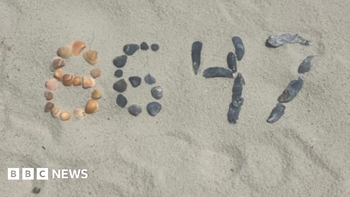 As Comey social media post triggers a row, what does '86' mean? - BBC News