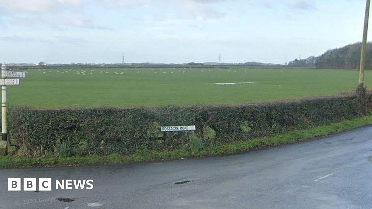 Ditzy ziah nudes straightforward setup, she told us the