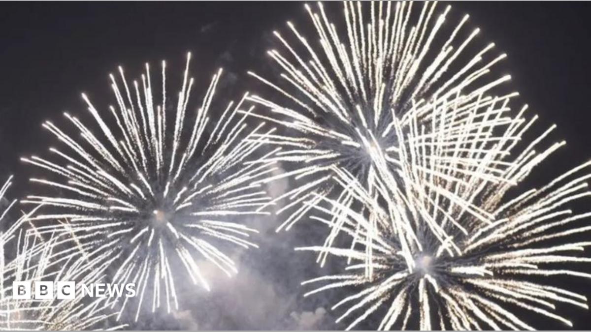 Guernsey fireworks led to 'lost and distressed' animals - BBC News