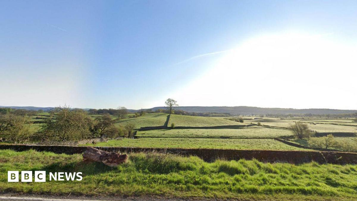 Sheep drown after being chased into Kendal river by dog - BBC News