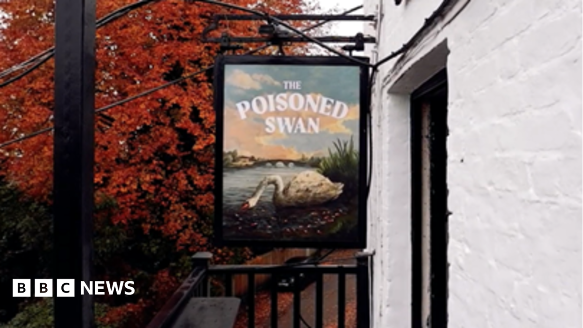 Why a pub in Twickenham changed its name to save swans - BBC News