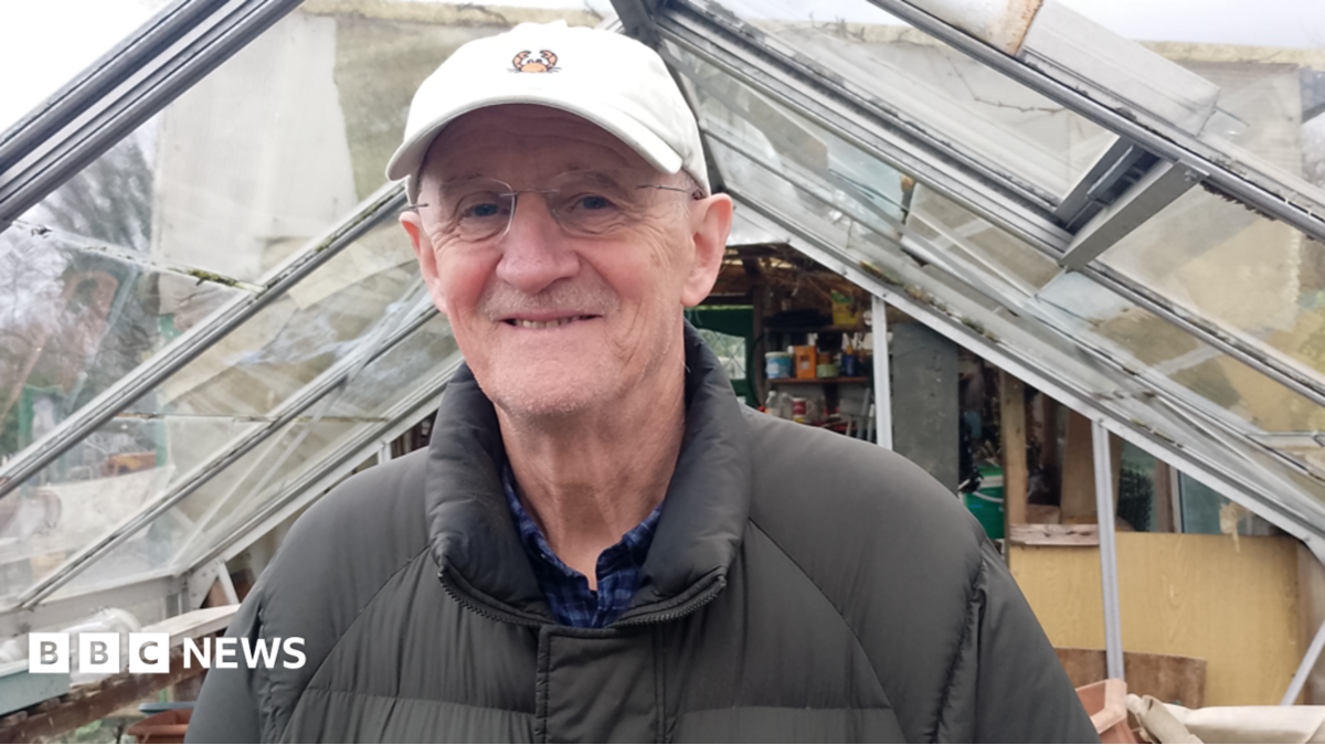Belfast allotments: Demand outweighs availability - BBC News