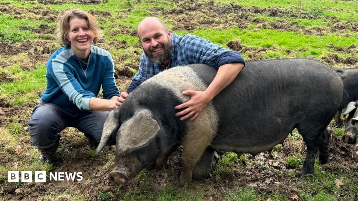 Surrey farm to open education centre for children - BBC News
