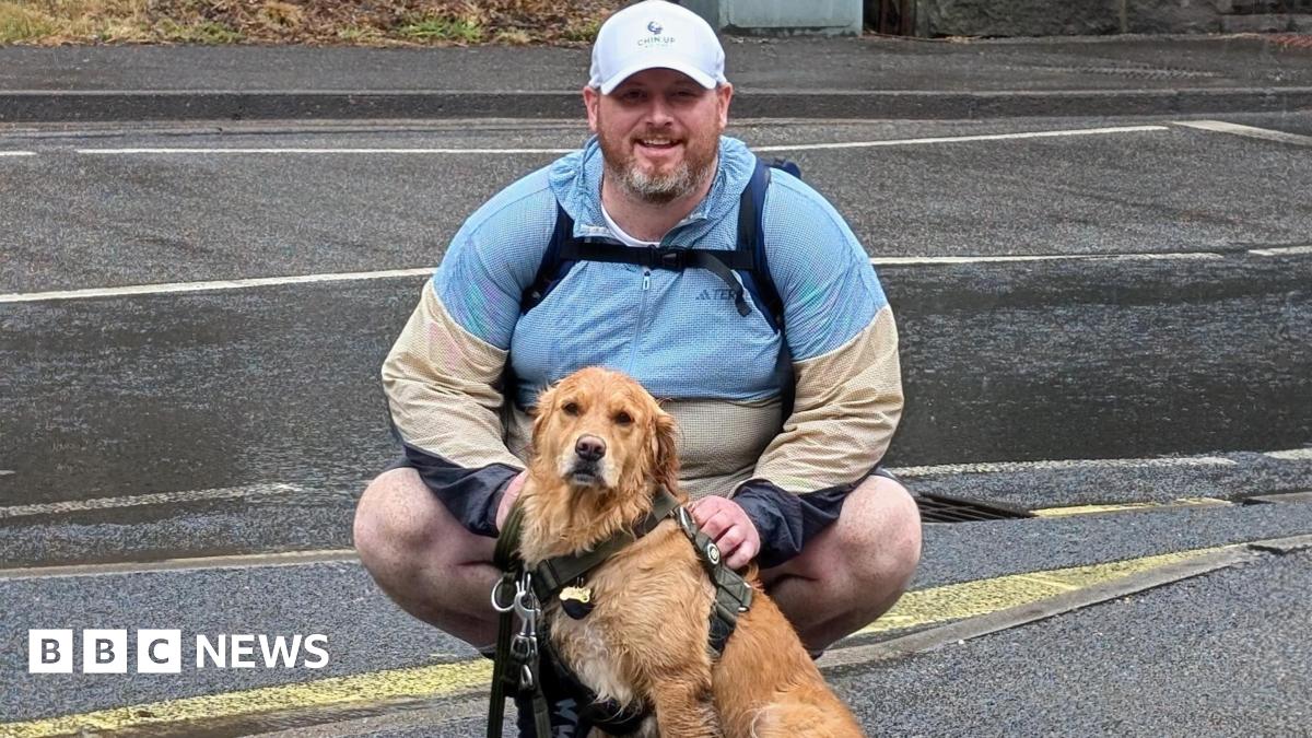 Derby man's 400-mile dog walk paused due to heatwave - BBC News