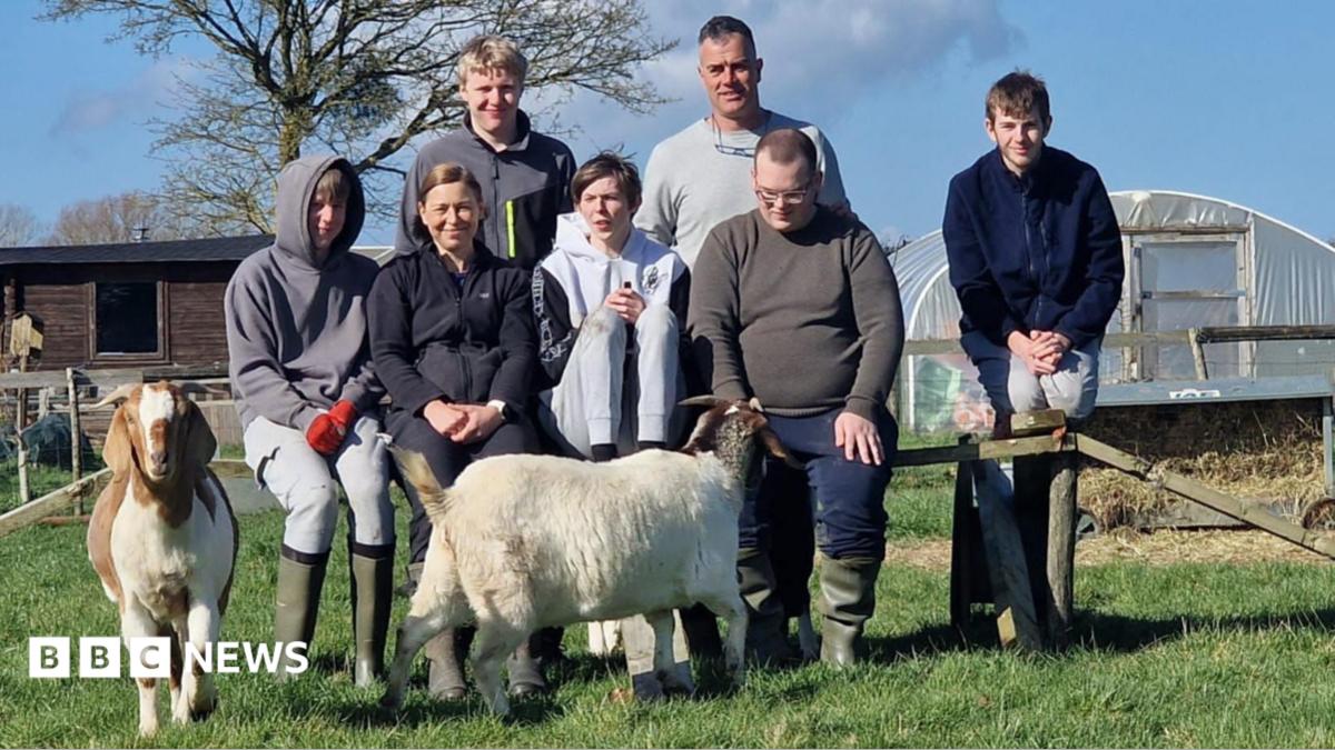 The working farm tackling anxiety in young people - BBC News