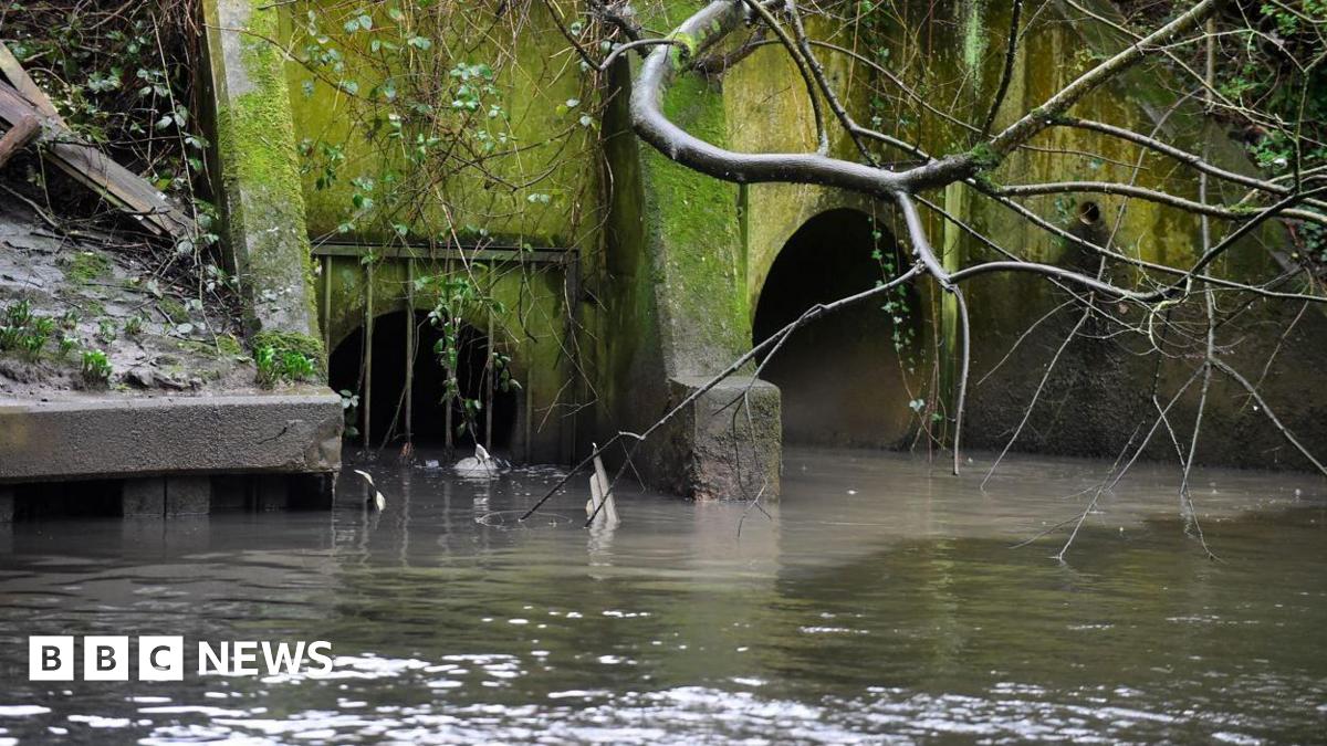 Welsh Water sewage spills at highest in 10 years, NRW data shows - BBC News