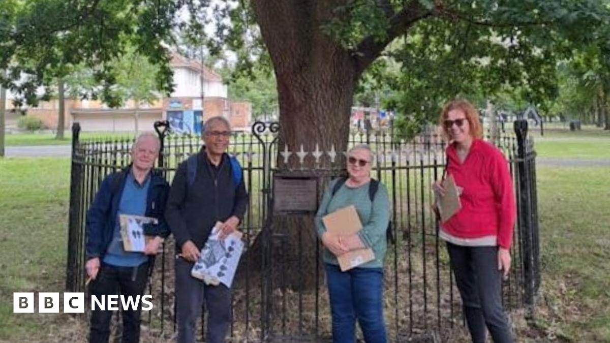 Leicester: Trail to highlight Victoria Park's unusual trees - BBC News