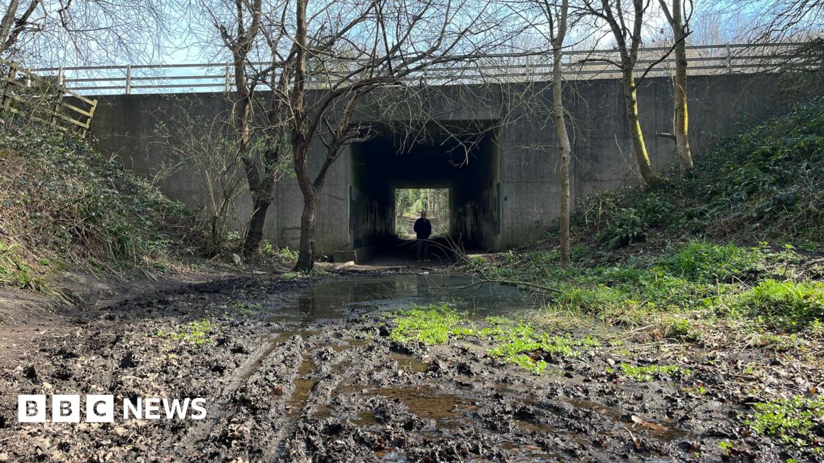 M23 underpass in Crawley 'impassable' when it rains, say residents ...