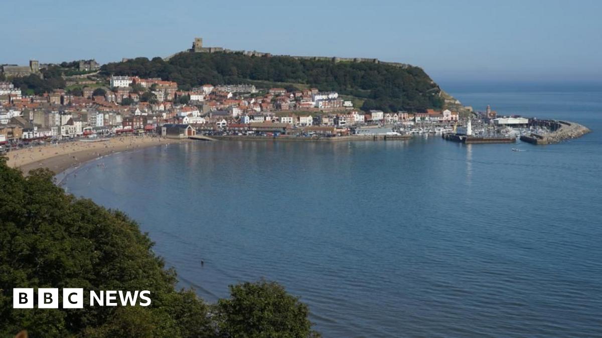 North Yorkshire mayoral election: What's the role and who is running ...