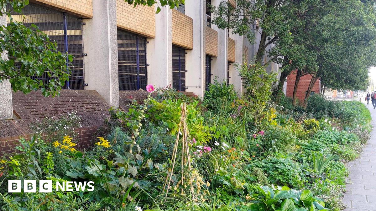 Reading guerrilla gardeners 'bring joy' by planting near car park - BBC ...