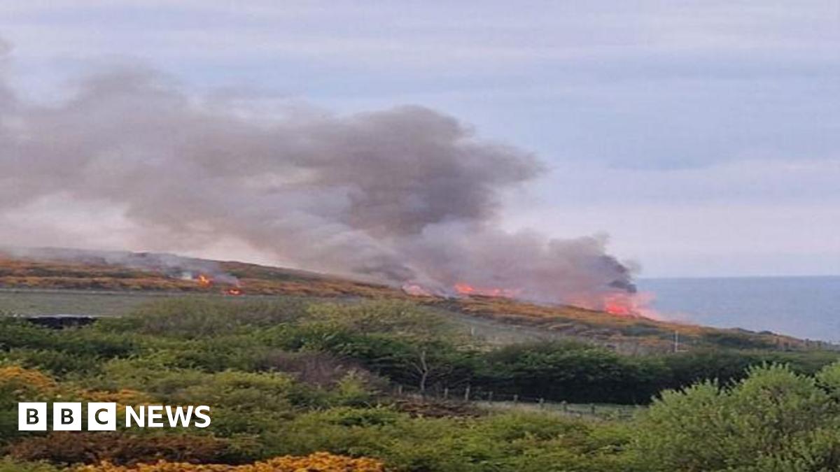 Two boys arrested after nature reserve fire - BBC News