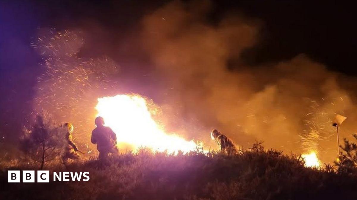 Firefighters tackle heath fires at Poole nature reserves - BBC News