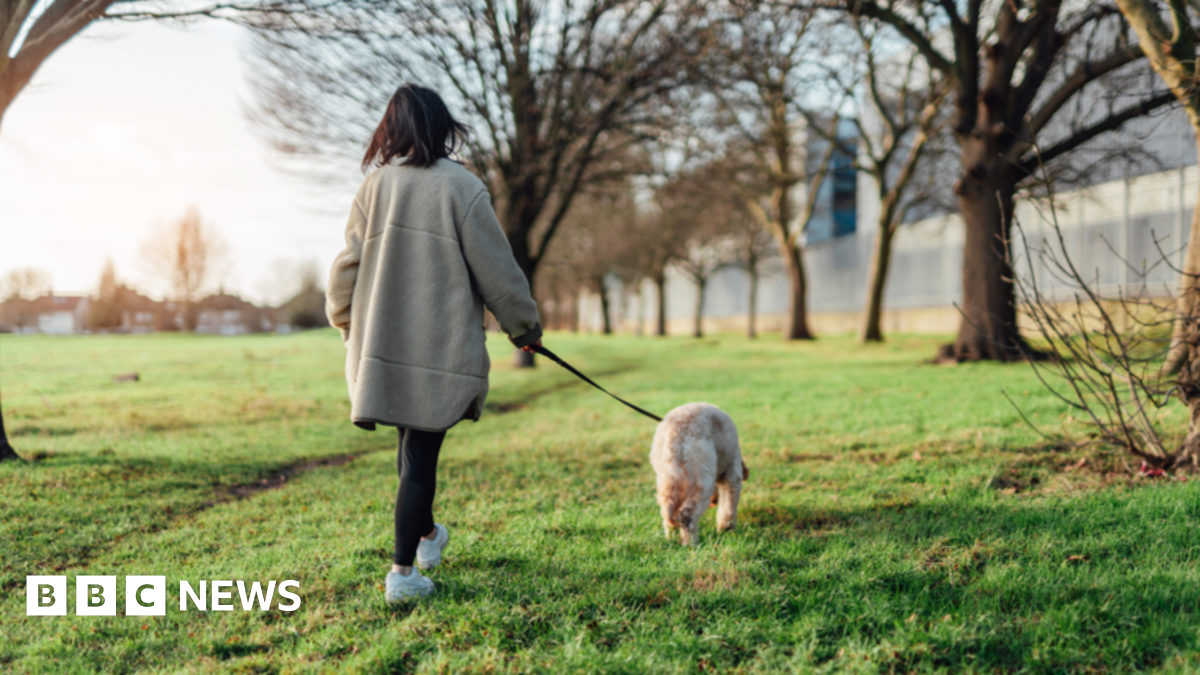 Fee for dog-walking firms in parks an 'absolute catastrophe' - BBC News