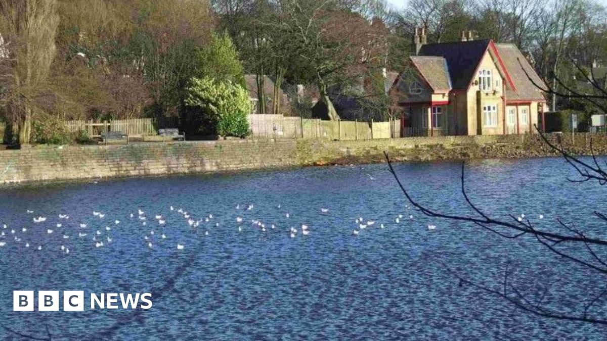 Body found in search for missing Bradford teen Zakir Muhammad Mughal ...