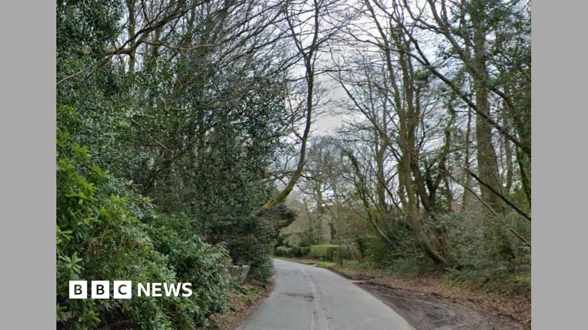 Newick: Developer appeals rural housing refusal - BBC News