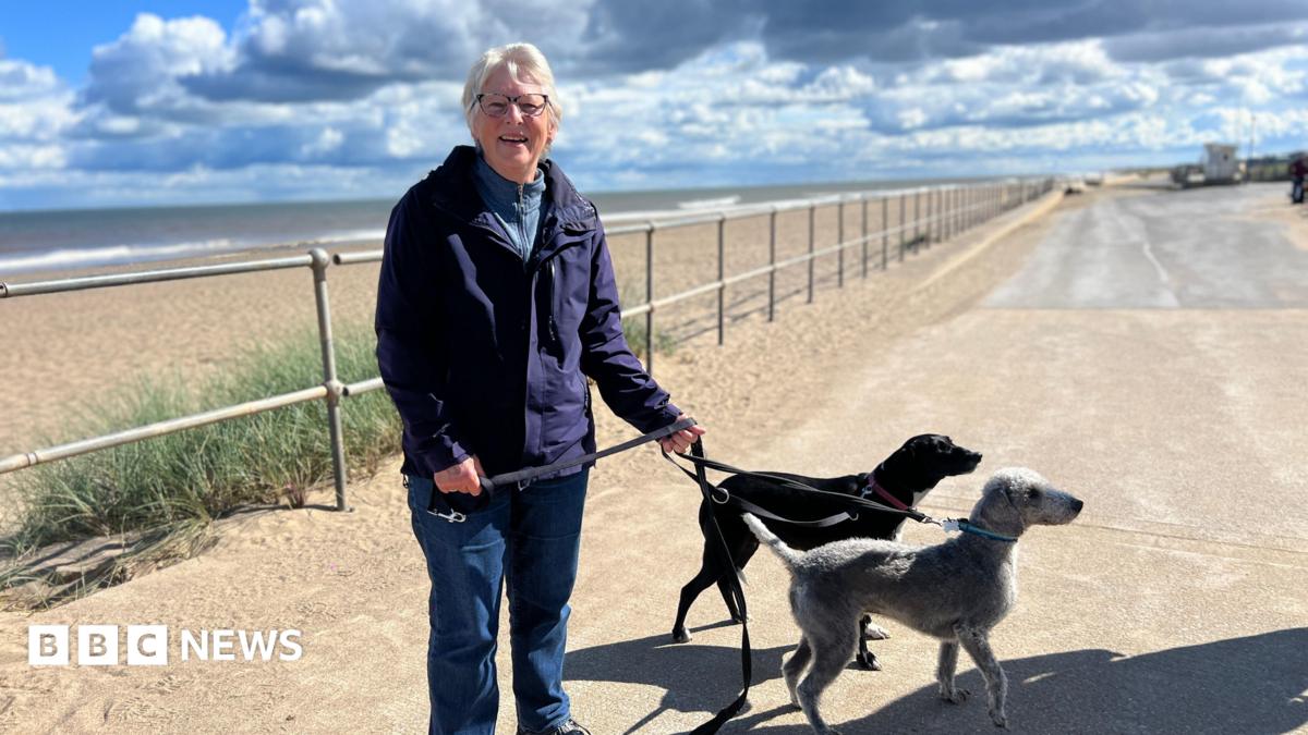Dog ban on Lincolnshire's Blue Flag beaches under review - BBC News