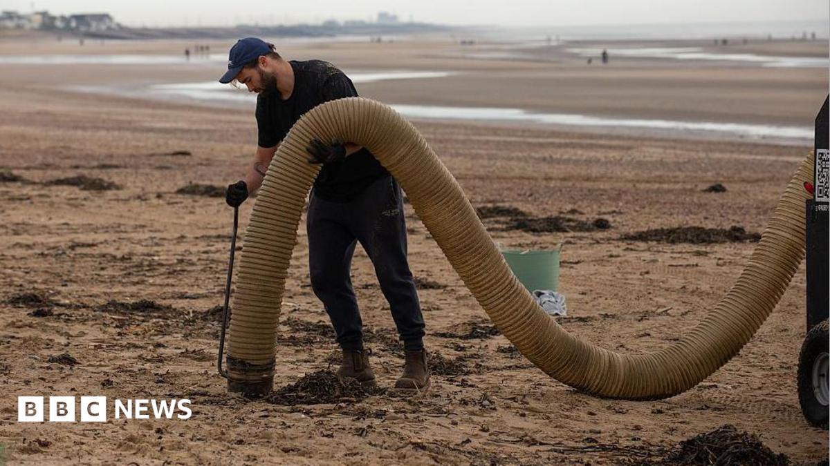 Pellets could wash up on Camber Sands for next year, council says - BBC ...