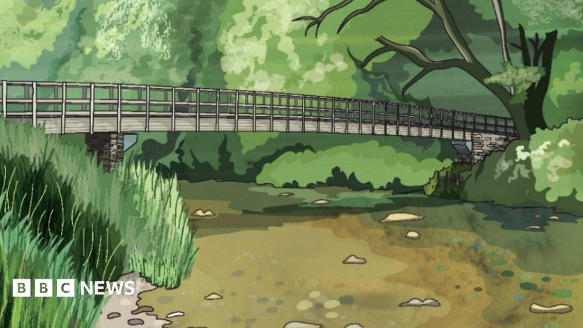 Exmoor bridge construction 'to begin in summer' - BBC News