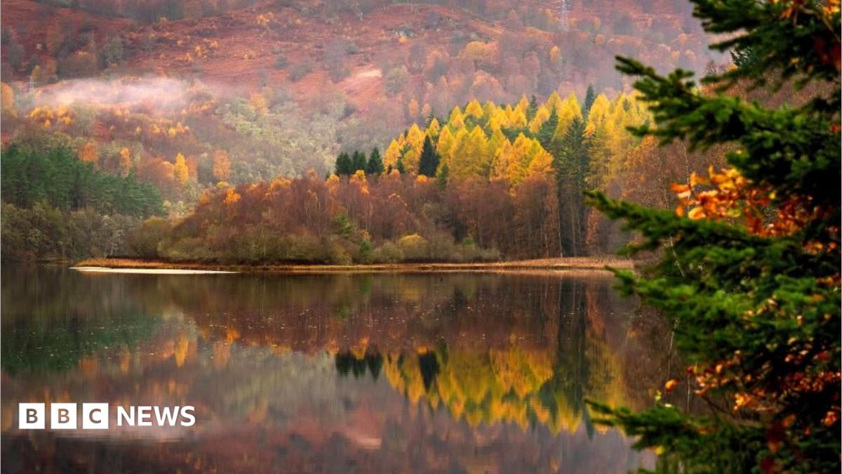John Swinney to auction Christmas card for children's charity - BBC News