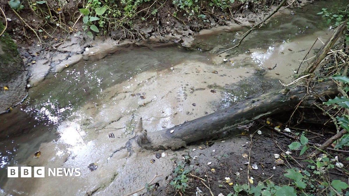 Severn Trent pays £600,000 after human waste found in brook - BBC News