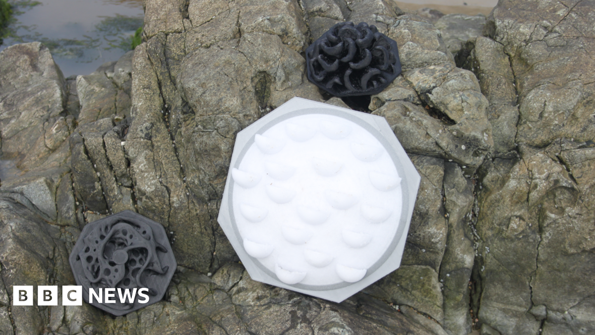 Students creating living sea walls with 3D printer - BBC News