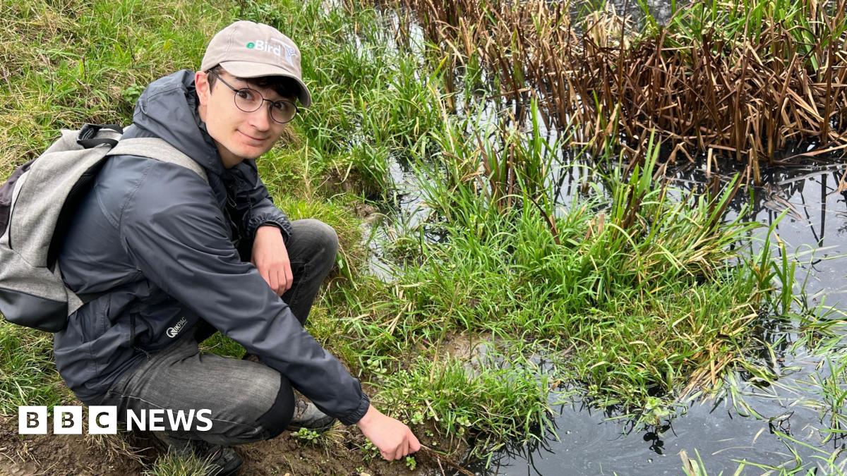 Beverley wildlife fears as Barmston Drain turns black - BBC News