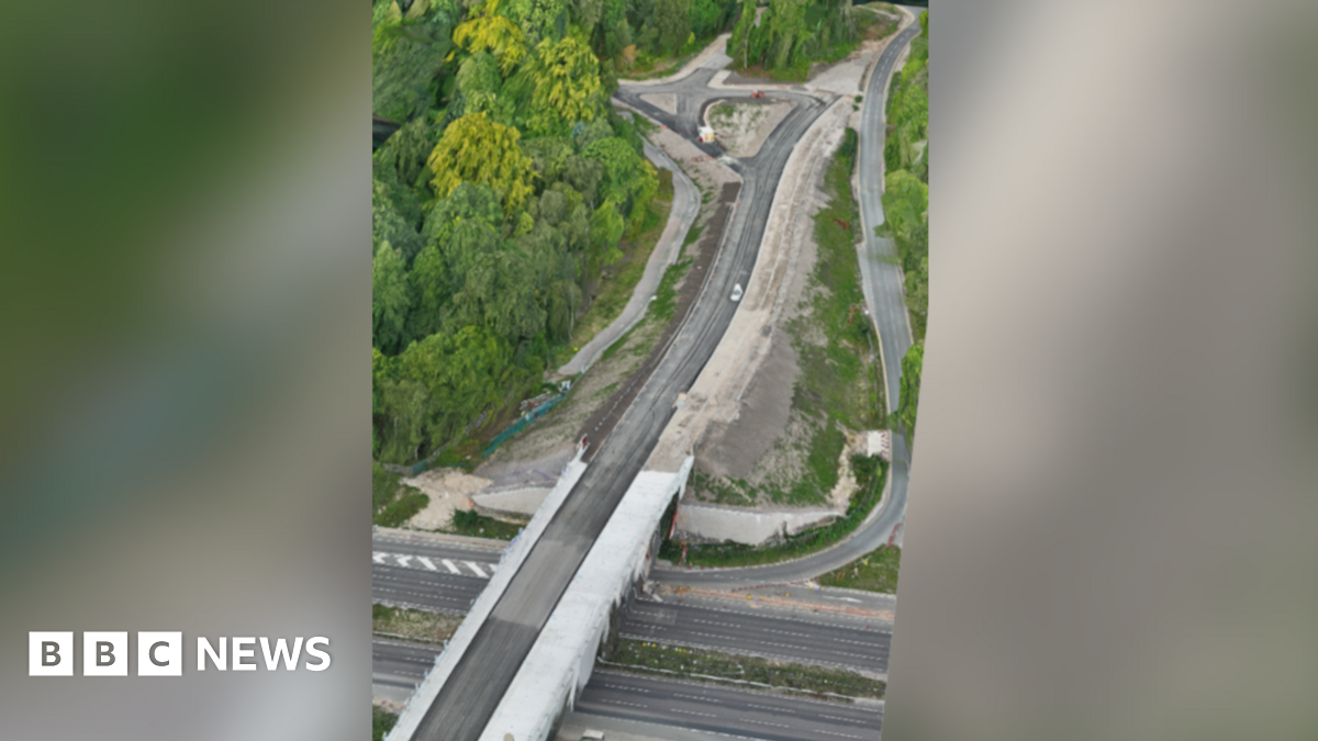 New Wisley Lane bridge over A3 opens to traffic - BBC News