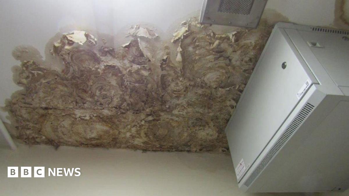 HMP Frankland has mould and ‘mushrooms’ growing on walls - BBC News