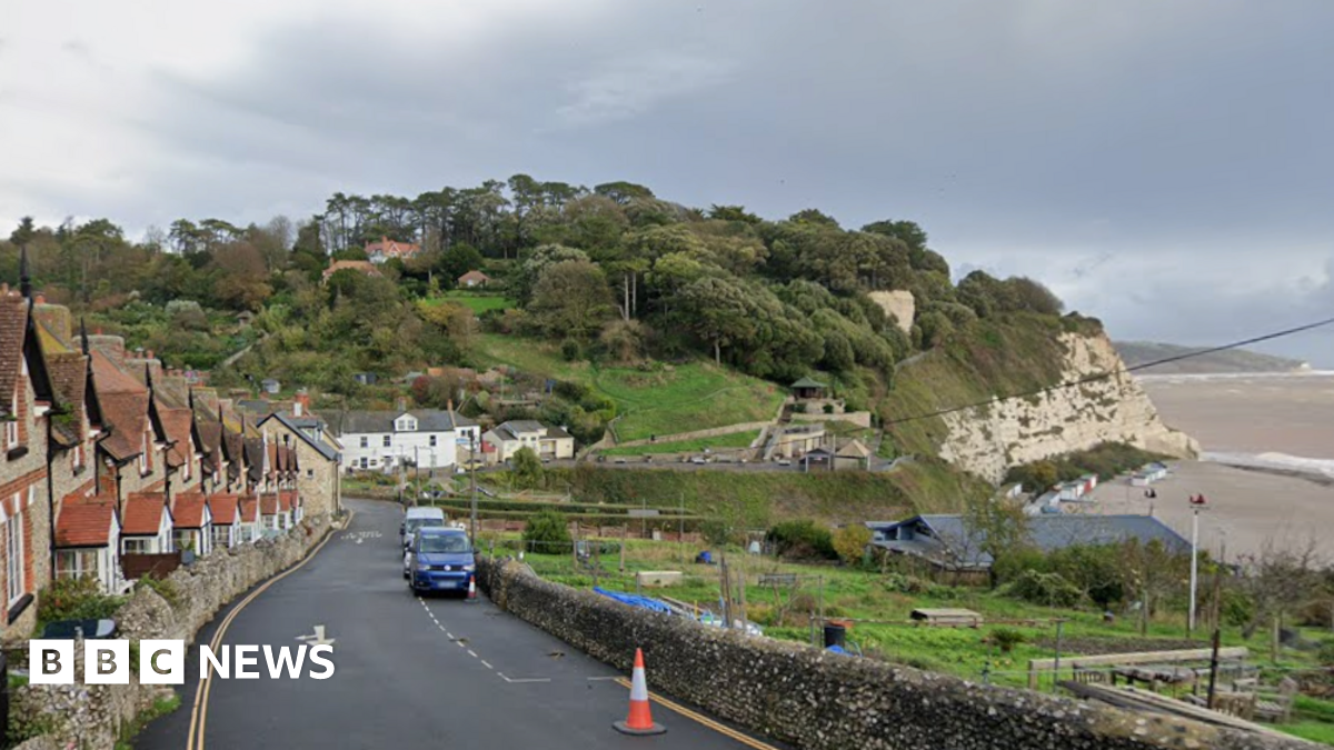 Pedestrian seriously injured in collision with car in Beer, Devon - BBC News