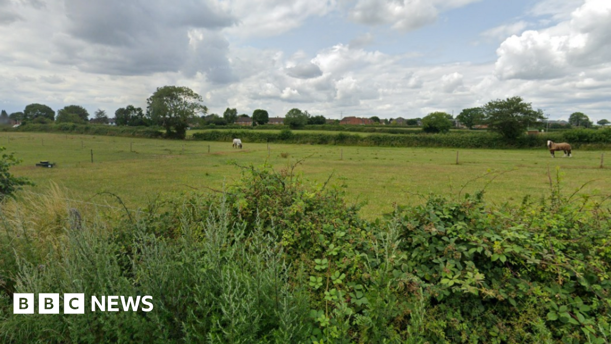 Newbold Verdon: Plans for 'garden neighbourhood' with 240 homes - BBC News