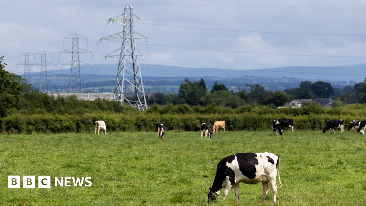 Cumbrian views sought over cross-border power line - BBC News