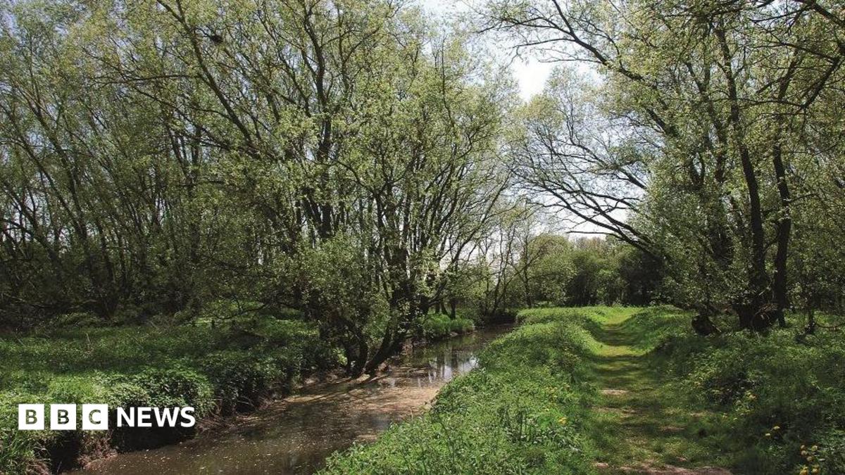 Billingham county park wetland restoration starts - BBC News