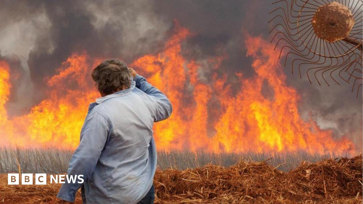 Brazil suspects criminals set record São Paulo fires - BBC News