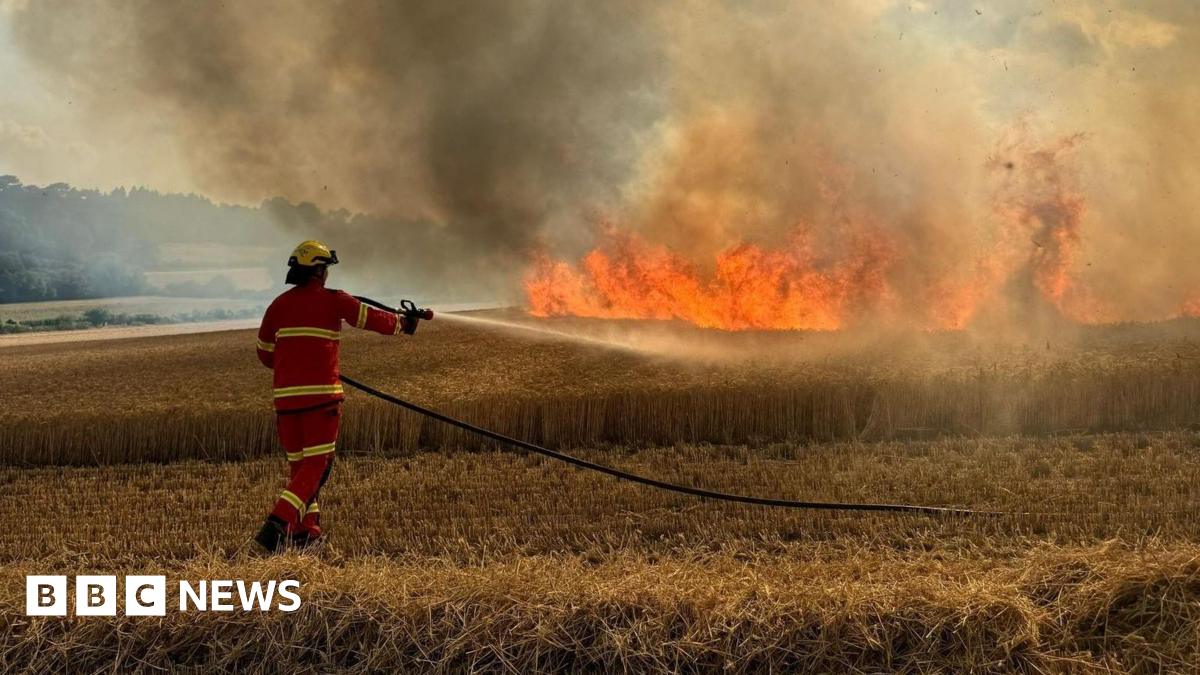 Guildford wildfire was 'accidental', Surrey fire service says - BBC News