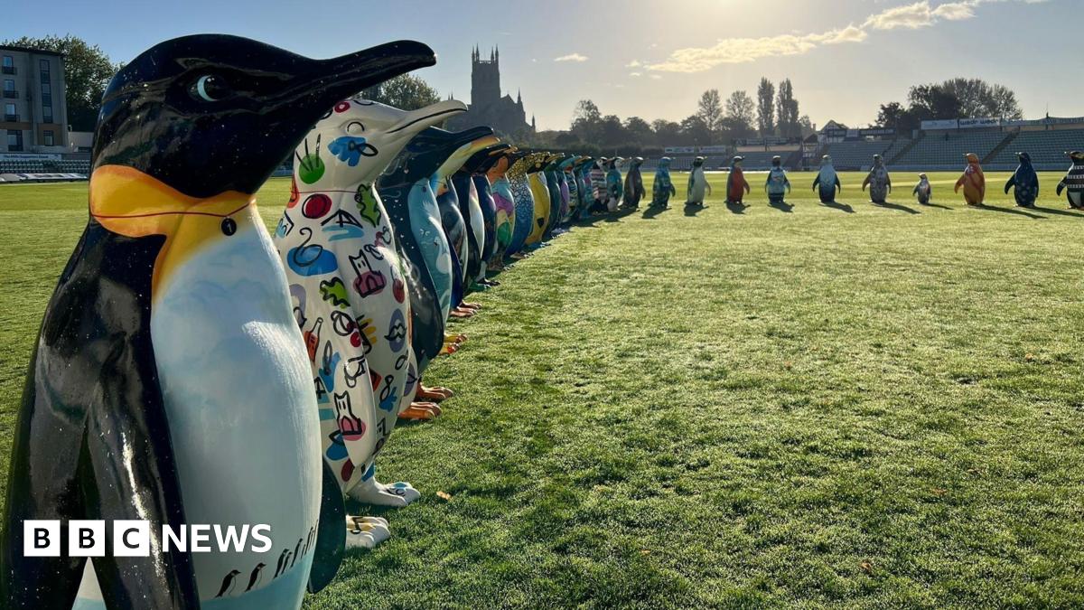 Waddle of Worcester art trail holds farewell event at cricket ground ...