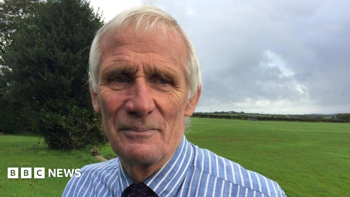 Former Conservative AM Peter Rogers dies - BBC News
