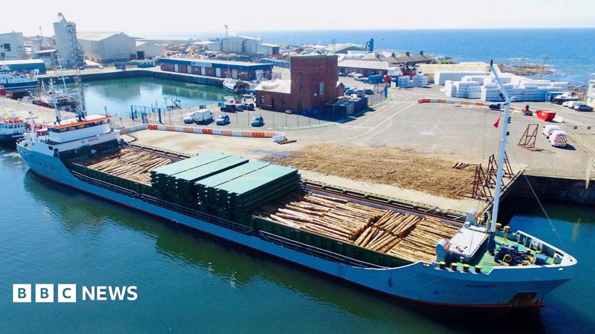 Tonnes of timber to be moved by sea rather than by road - BBC News