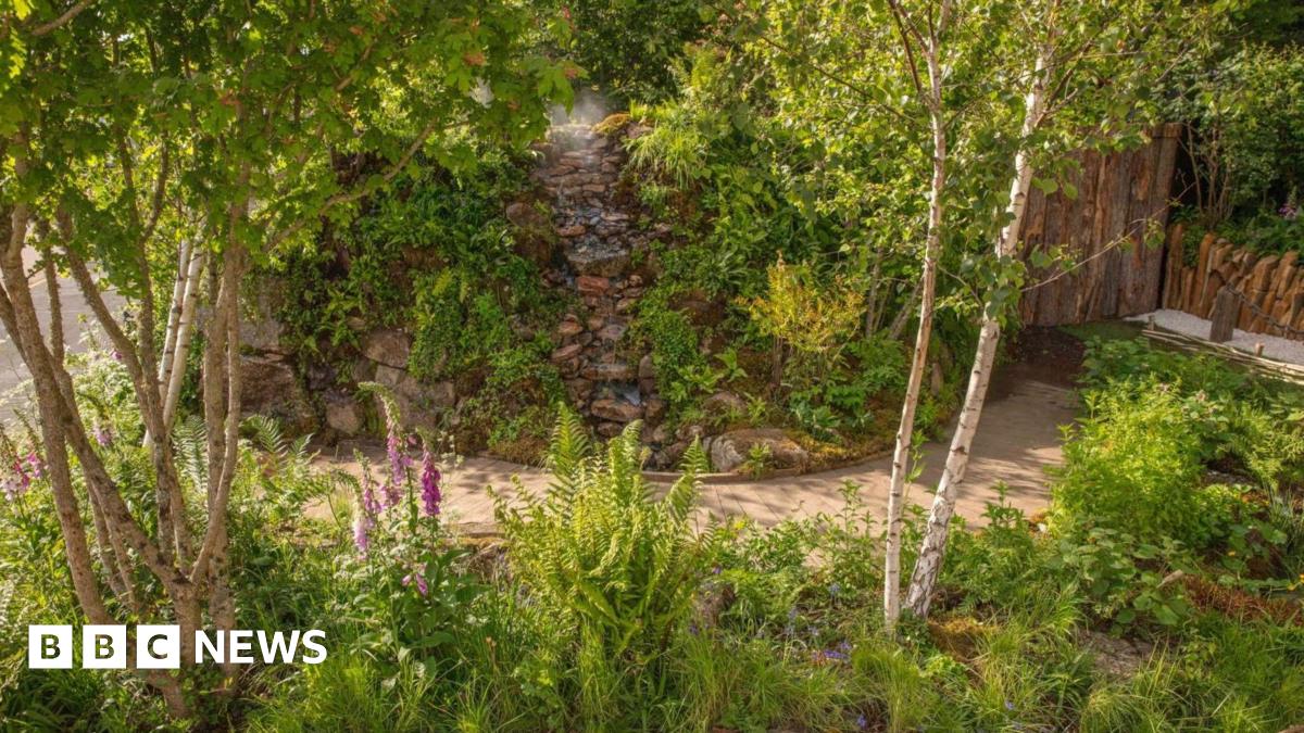 Bristol Zoo Project unveils Chelsea Flower Show rainforest garden - BBC ...