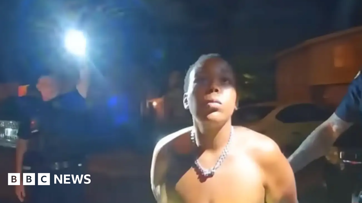 Woman sentenced in case that sparked Springfield cat rumours - BBC News