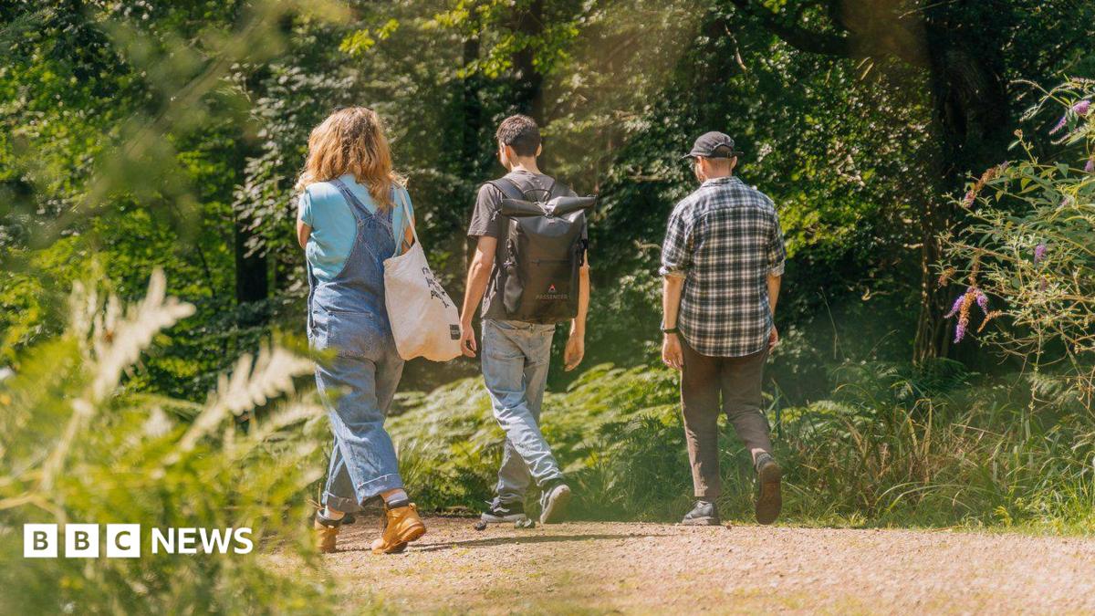 New maps to inspire accessible Forest of Dean walks - BBC News