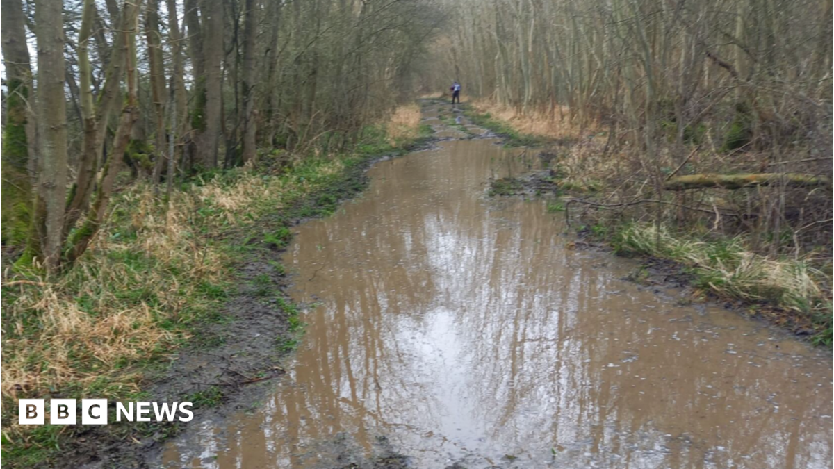 East of England nature areas remain closed after 'wettest winter' - BBC ...
