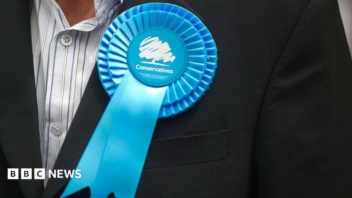 Welsh Conservatives ditch party chairman after year in job - BBC News